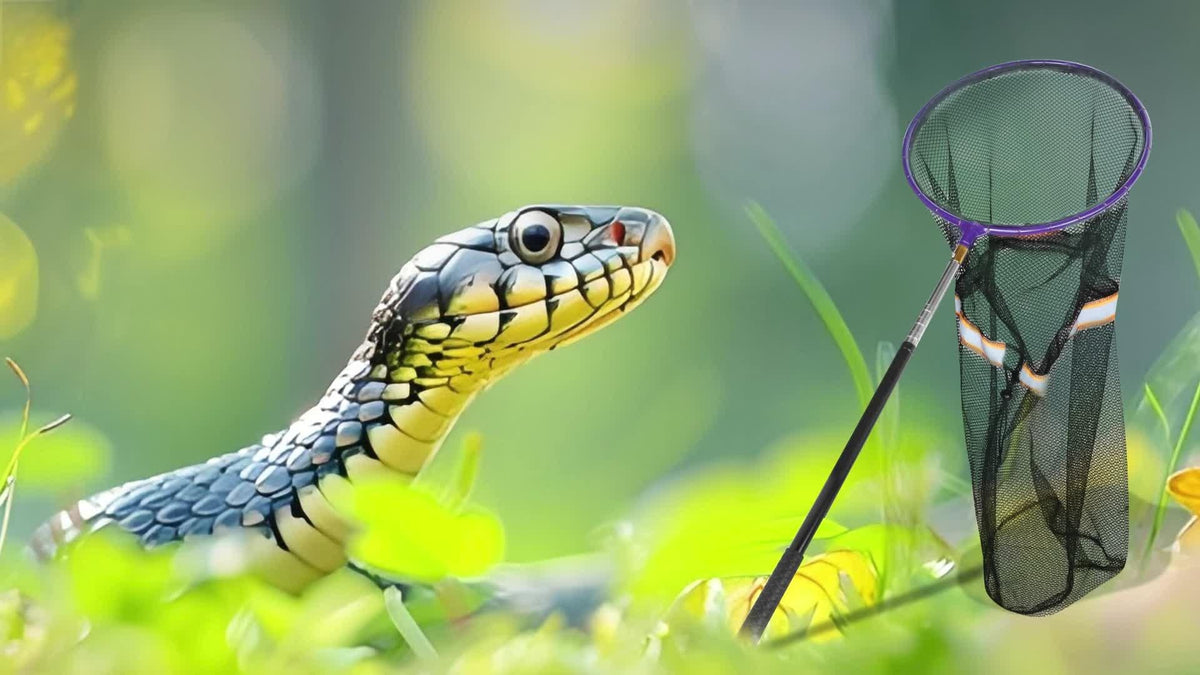 🐍 Safe, Smart & Simple: Why a Snake Catching Net Is a Must-Have Tool f ...